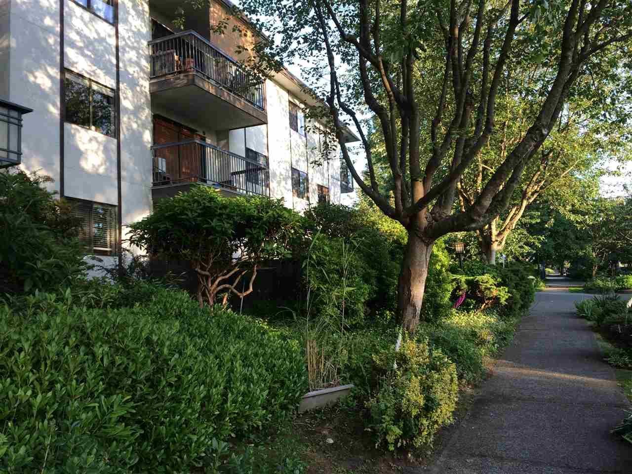 Trinity Manor | 2320 Trinity Street, Vancouver | YouLive.ca